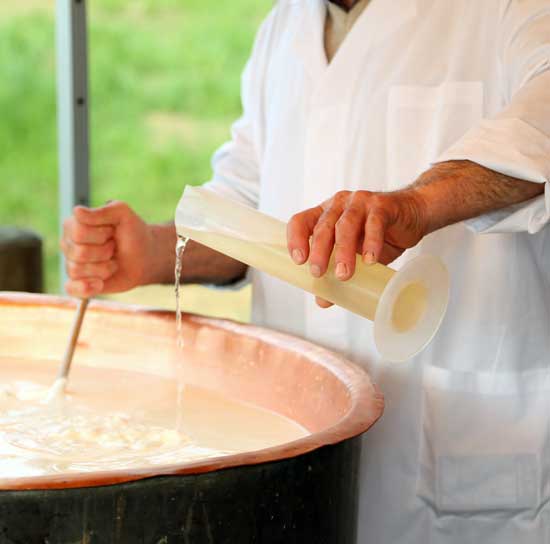 Shocking: GMO Rennet from Pfizer is in 90% of U.S. Cheese – Joseph's ...